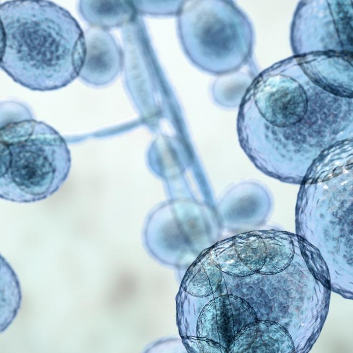 Sector Life Science | CBRE Spain